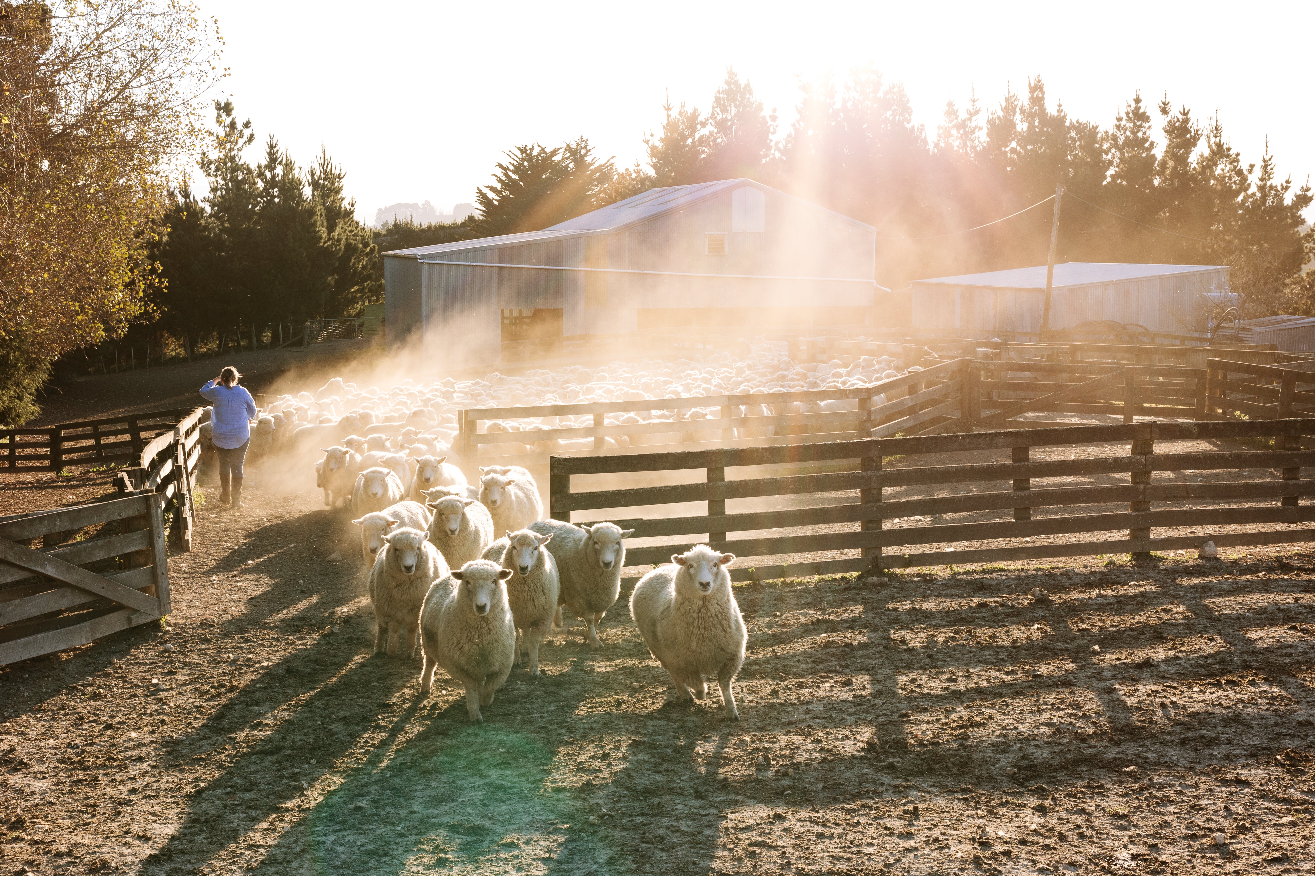 Foxtrot Home wins the ‘Emerging Business of the Year’ award at the Rur